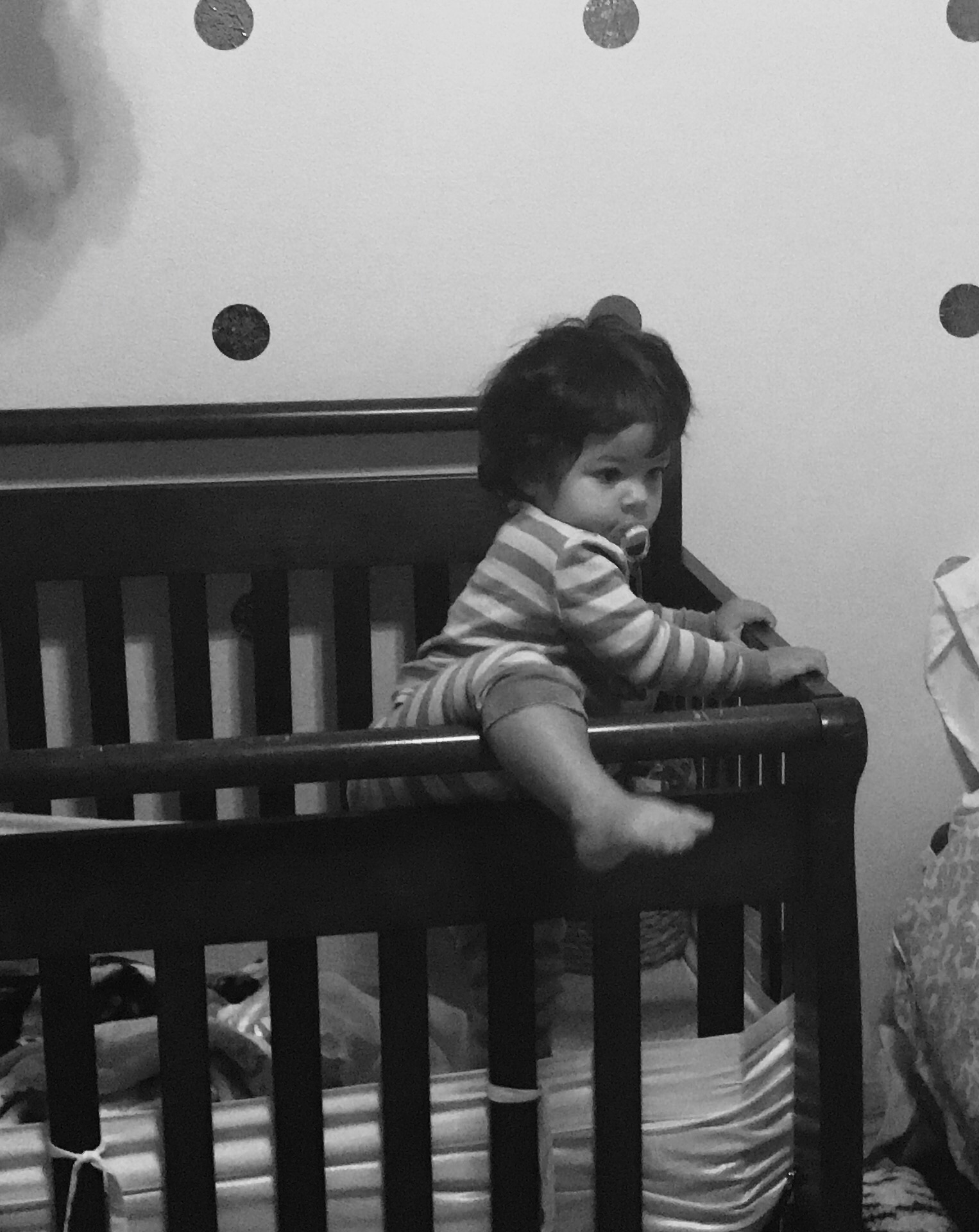 Surprise! Yay for Vomit Puddles – Cultivating Chaos